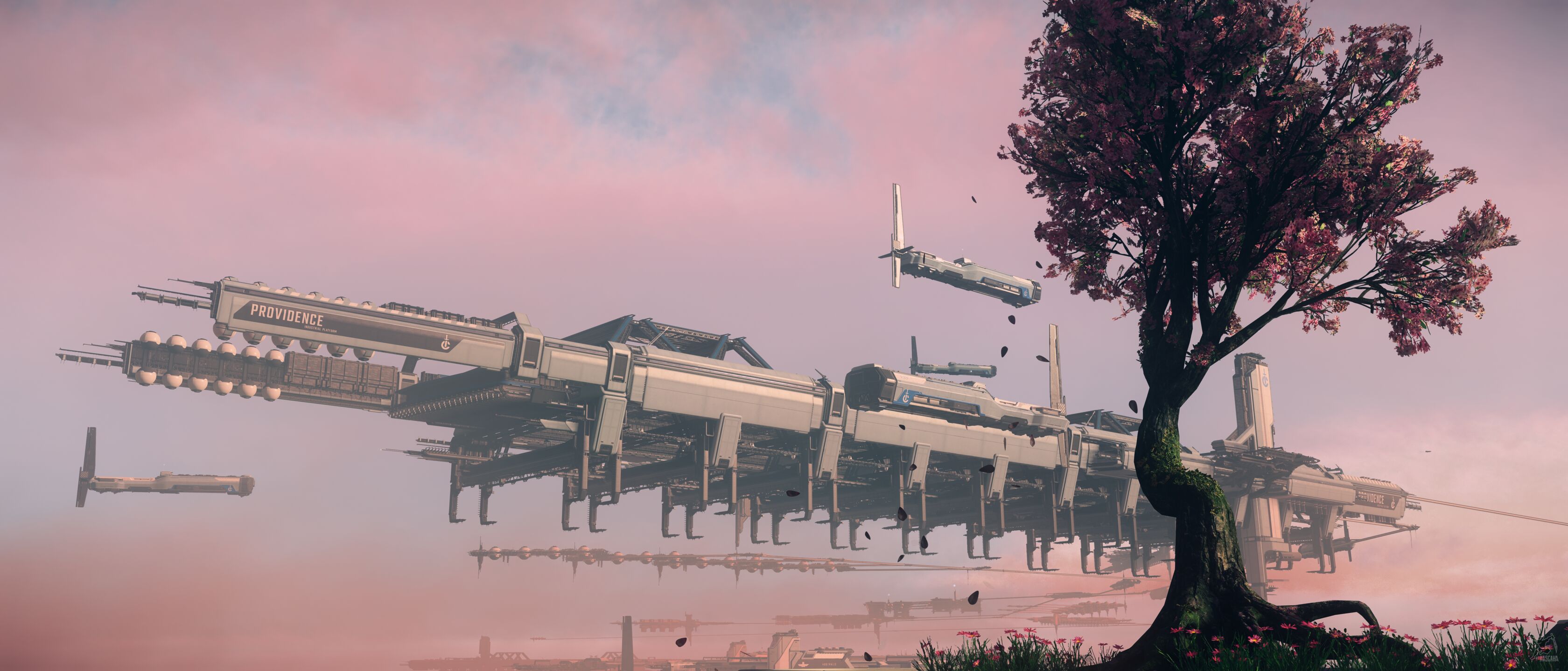 Star Citizen Orison : Mr. Hasgaha