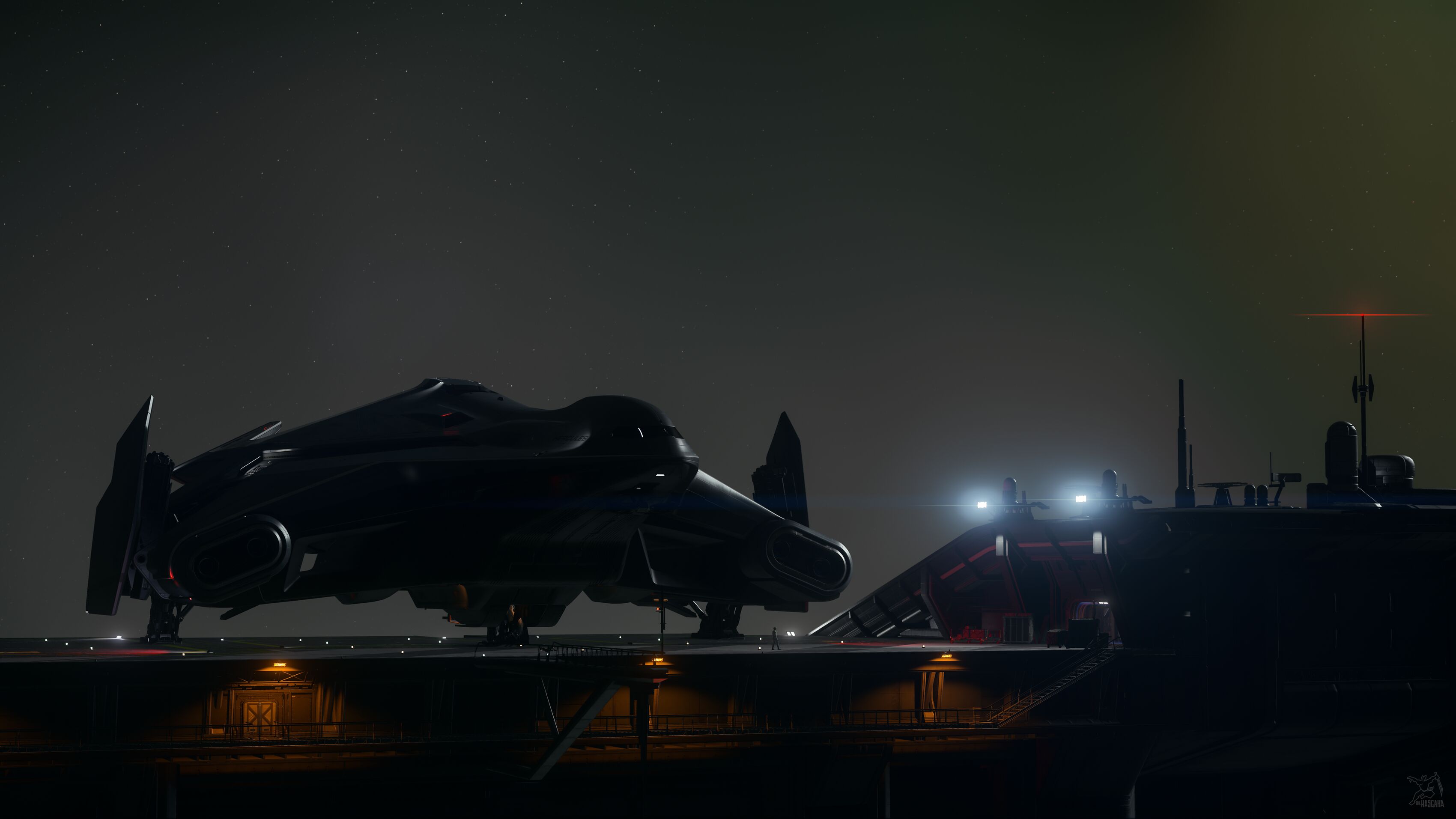 Star Citizen C2 Hercules Starlifter : Mr. Hasgaha