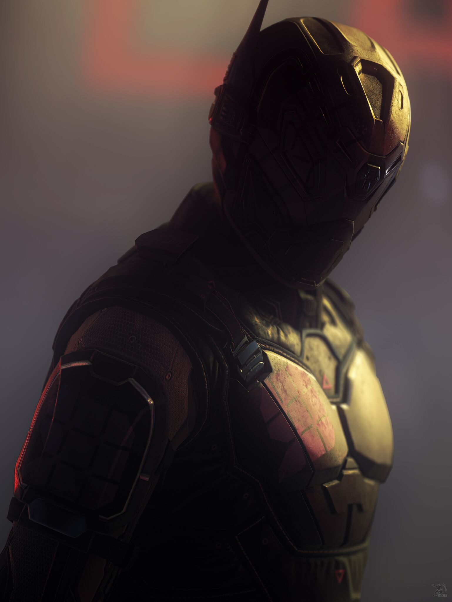 Star Citizen Nine Tails : Mr. Hasgaha