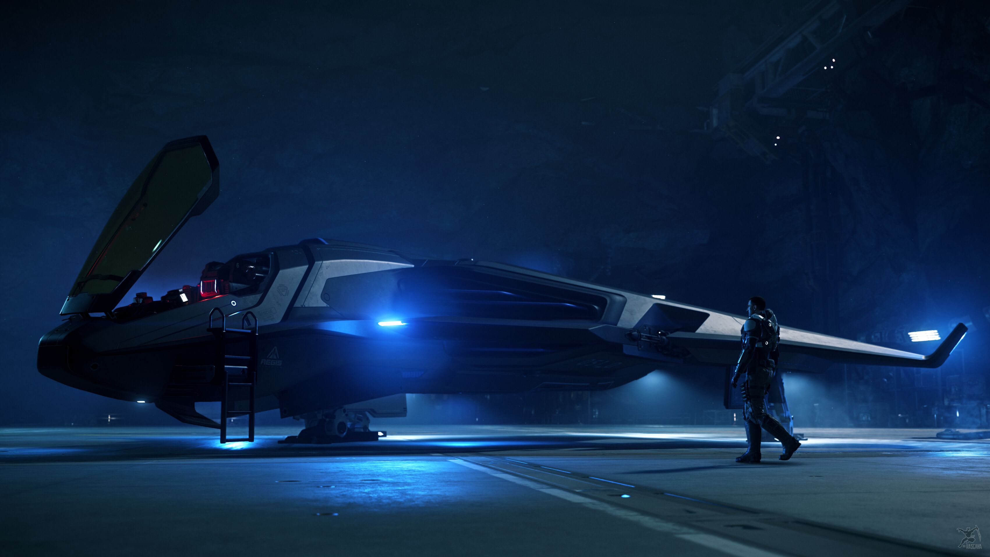 Star Citizen Aegis Sabre Raven : Mr. Hasgaha