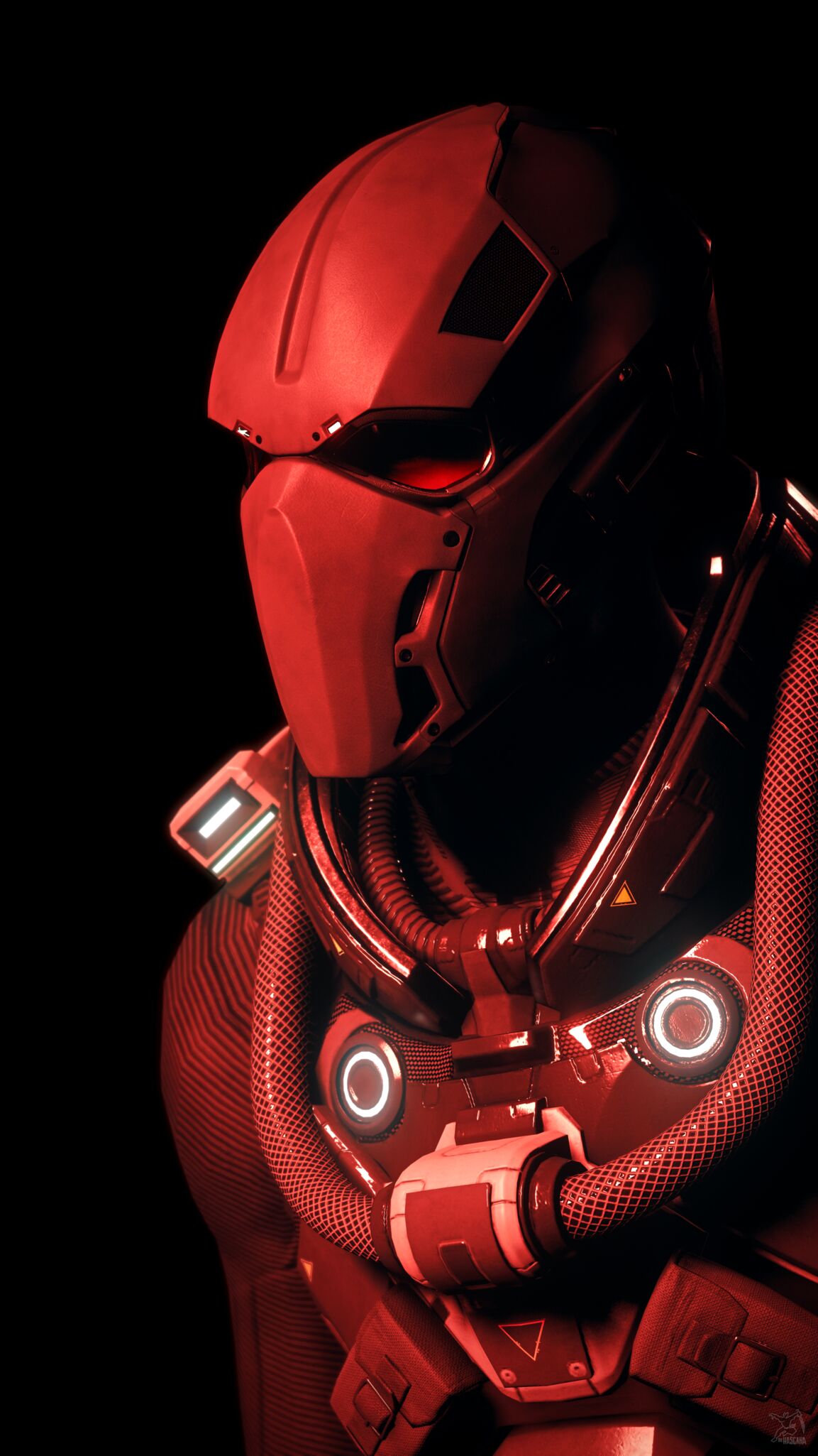 Star Citizen: Portraits at Grim HEX : Mr. Hasgaha