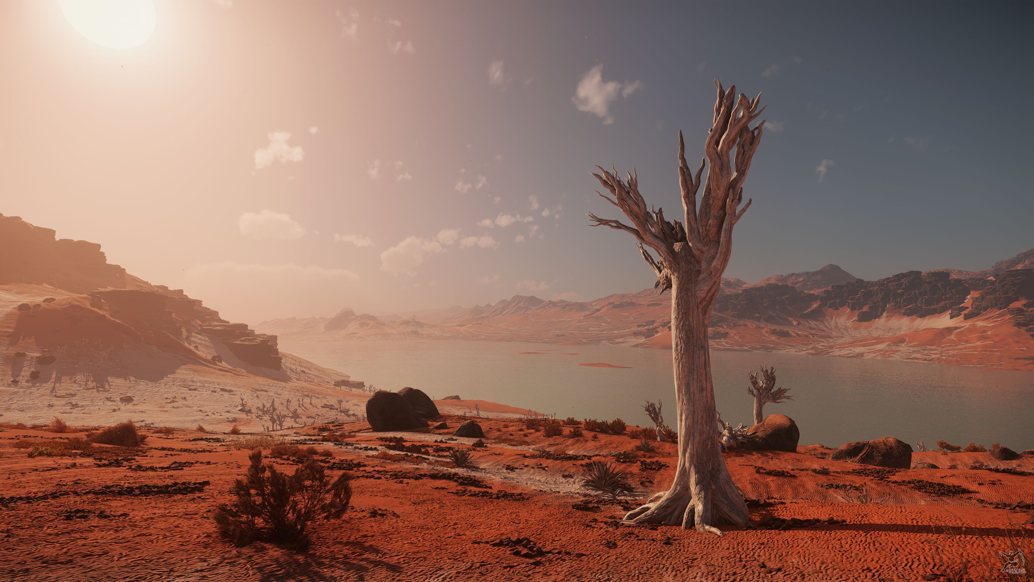 Gaming Screenshots : Mr. Hasgaha